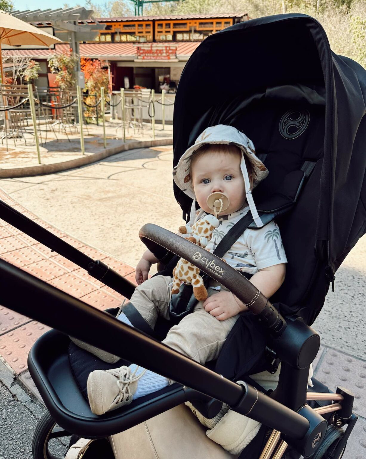 The Ethics of Taking Little Adventurers to the Zoo - The Baby Abroad