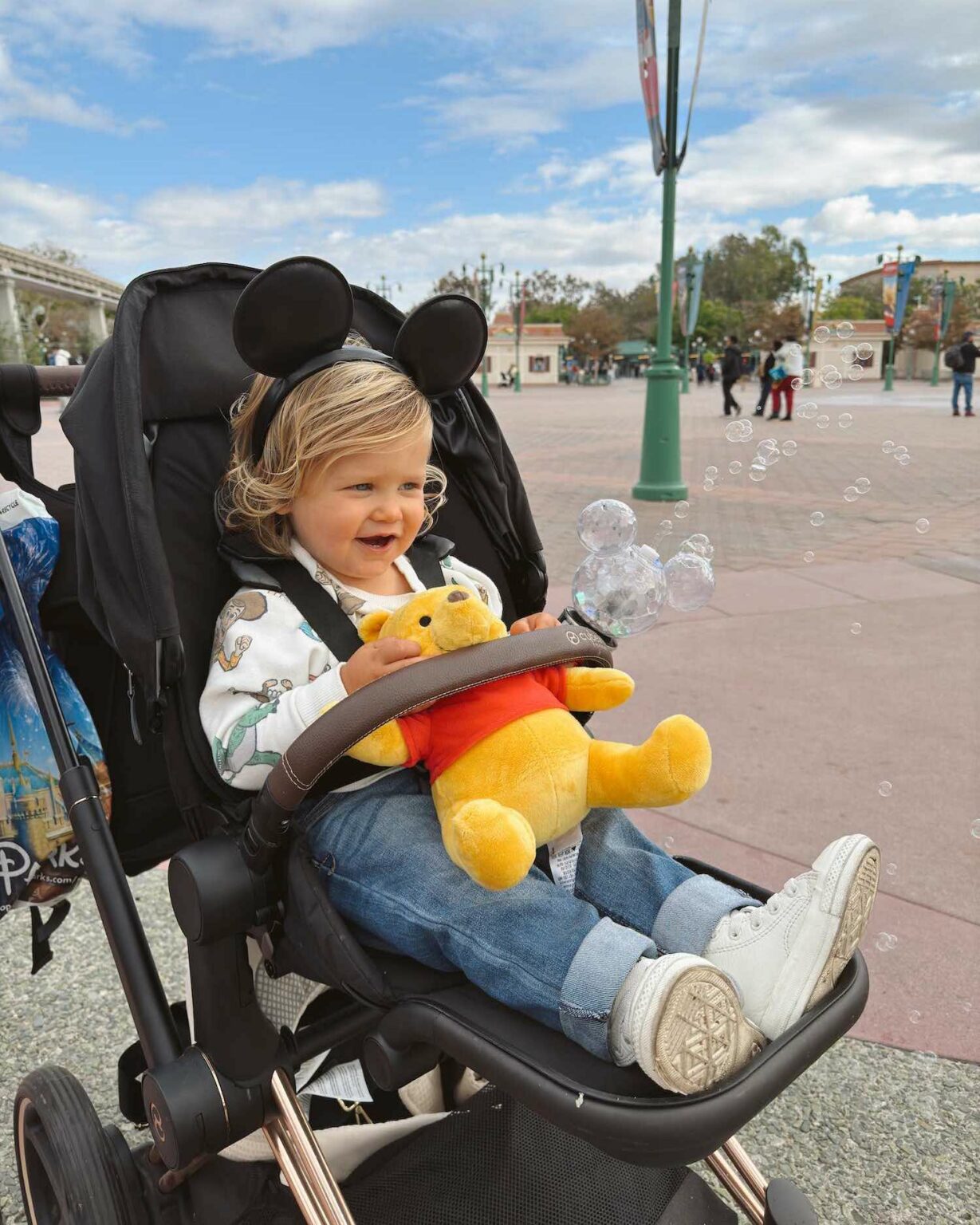 The Ultimate Guide to Disneyland with a Toddler - The Baby Abroad