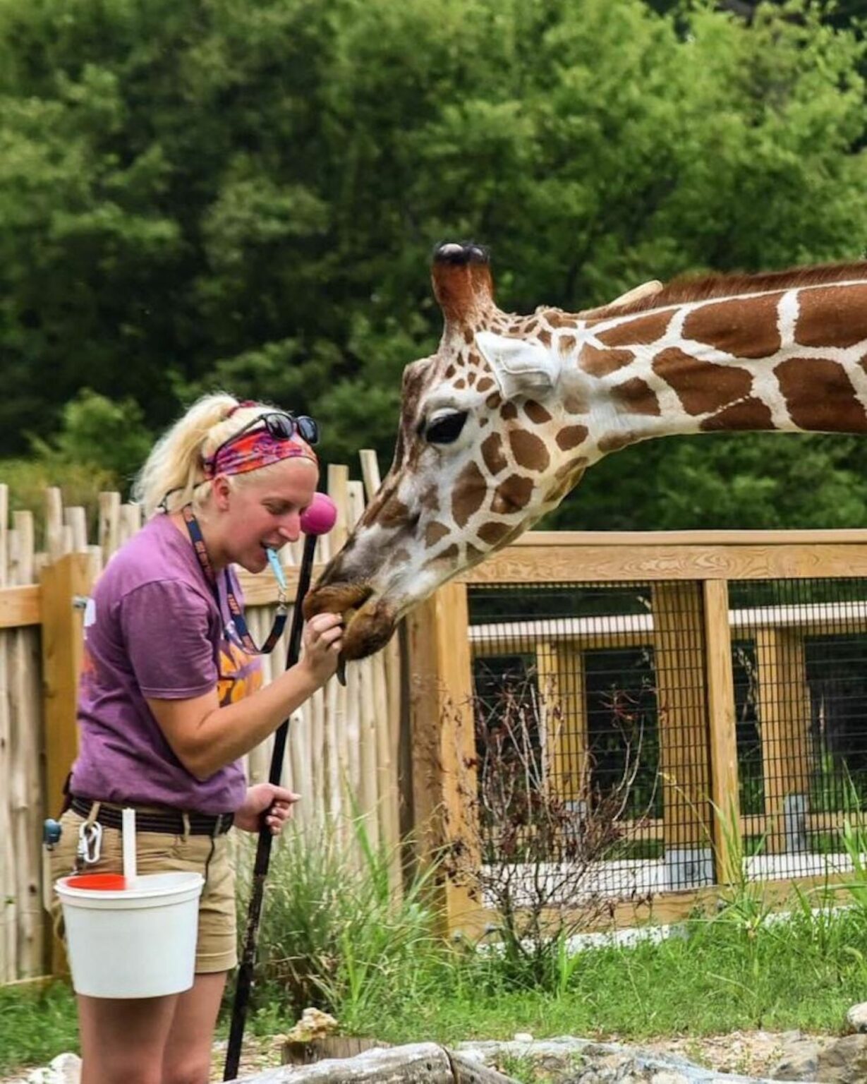 The Ethics of Taking Little Adventurers to the Zoo - The Baby Abroad