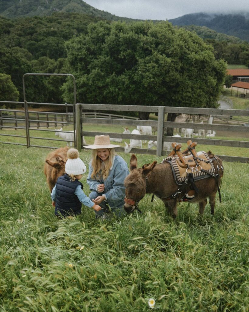 Staying at Carmel Valley Ranch in California with a Toddler - The Baby ...