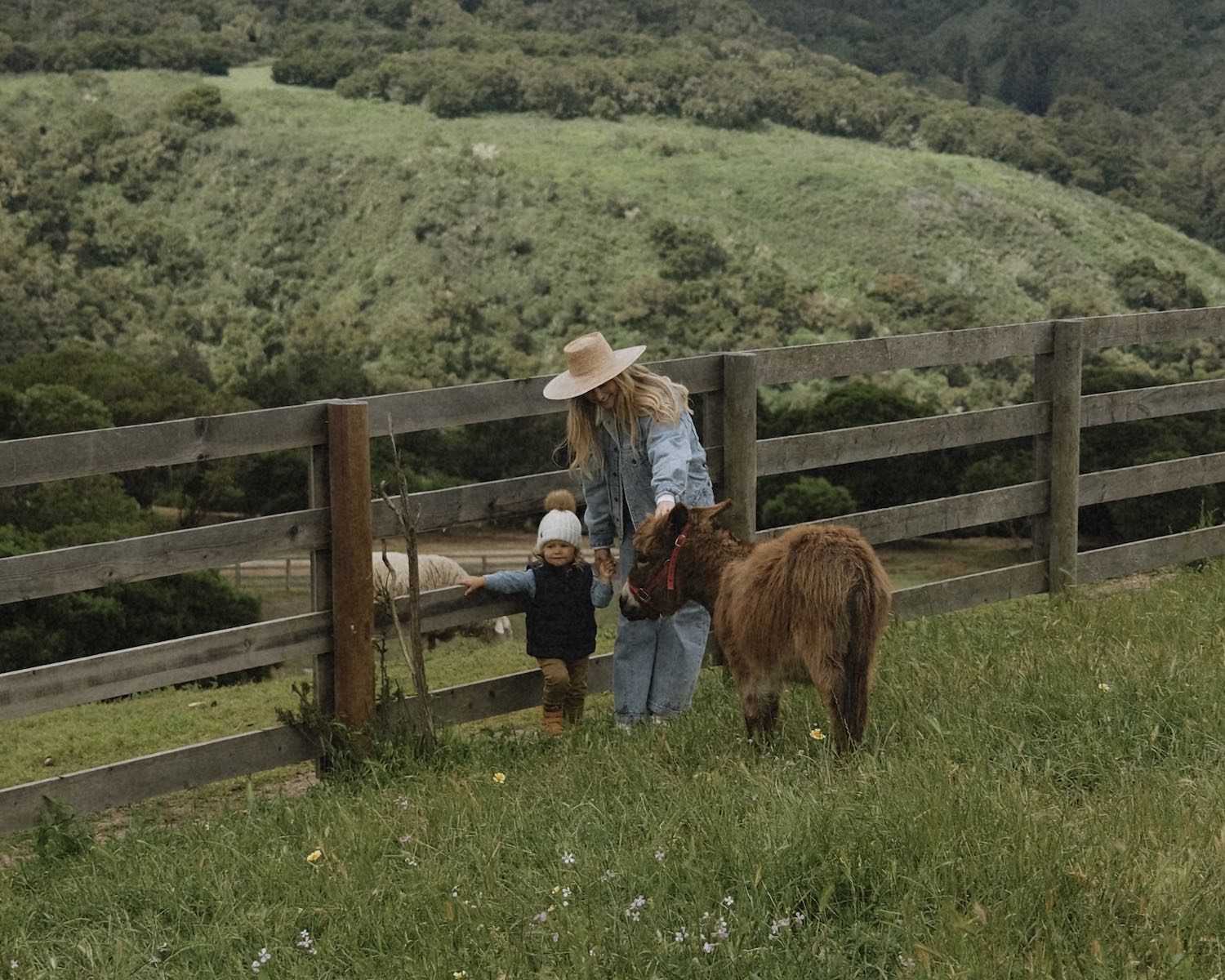 Staying at Carmel Valley Ranch in California with a Toddler - The Baby ...