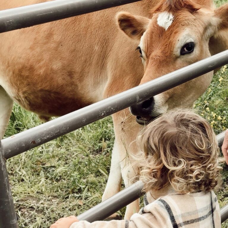Staying at Carmel Valley Ranch in California with a Toddler - The Baby ...