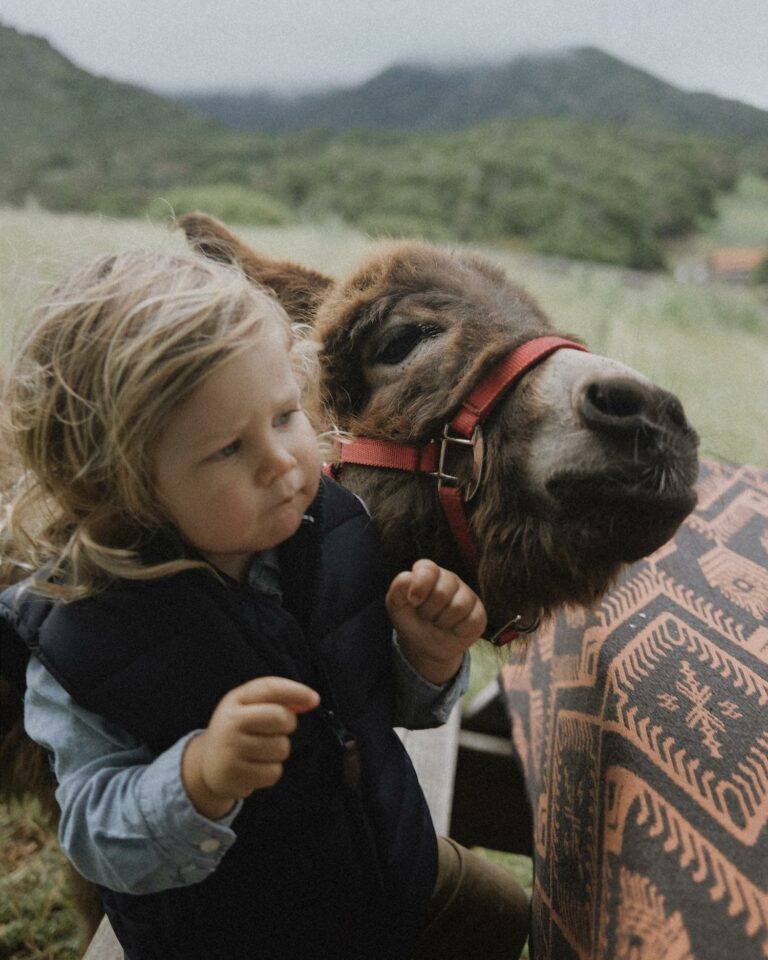 Staying at Carmel Valley Ranch in California with a Toddler - The Baby ...