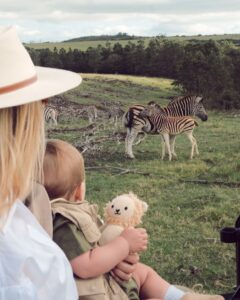 Family Travel Guide for Cape Town with Kids - The Baby Abroad